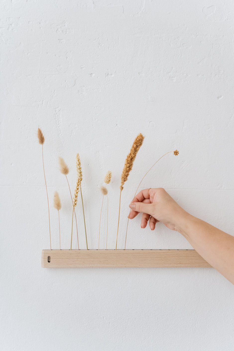 Accessoires – ANSO